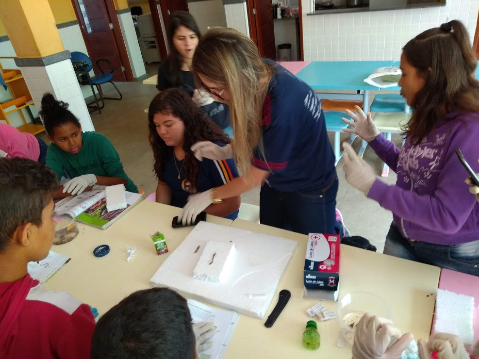 SEDU - Aula prática aproxima alunos dos conteúdos de Ciências